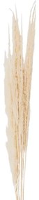 Přírodní béžová kytice sušené květy trávy – 90 cm