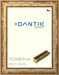 DANTIK rámeček 15x20 | BEAUTY zlatá (Sklo Čiré)