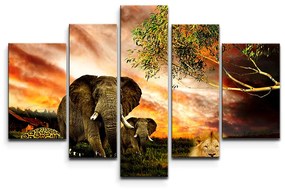 Sablio Obraz - 5-dílný Zvířata ze Sahary - 125x90 cm