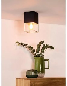 Lucide 21120/01/30 - Stropní svítidlo RIXT 1xE27/40W/230V