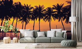 Samolepící tapeta západ slunce nad palmami - 225x150 cm