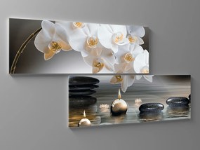 Liox Obraz orchidej a kameny ve vodě Rozměr: 180 x 90 cm
