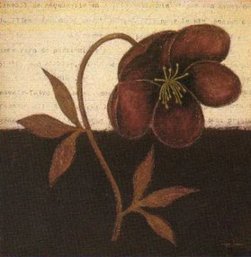 ART-STYLE Obrázek 18x18, květina červená, rám bílý s patinou