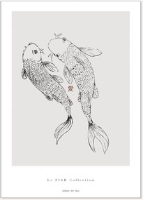 Plakát Le Fish