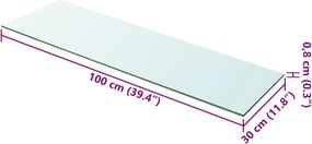 Policové desky 2 ks sklo čiré 100 x 30 cm 3051586