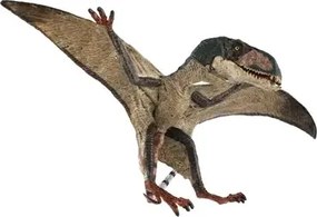 ZOOTED Figurka Pteropterus dinosaurus / 15 cm / od 3 let
