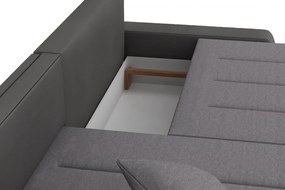 Casarredo - Komfort nábytek Rohová sedací souprava TWIGGY, rozkládací s úložným prostorem, M195/S21