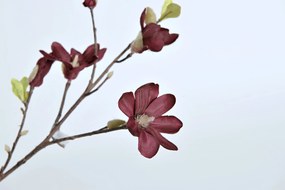 Hitra Květina/dekorace magnolie