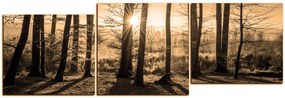 Obraz na plátně - Podzimní ráno v lese - panoráma 5251FE (90x30 cm)