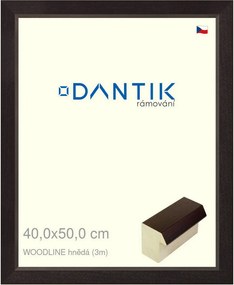 DANTIK rámeček 40x50 | WOODLINE hnědá (Plexi Čiré)