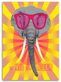 Gario Obraz na plátně Slon s brýlemi Rozměry: 40 x 60 cm