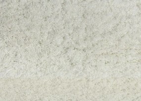 Koberce Breno Kusový koberec DOLCE VITA 01/WWW, Bílá, 67 x 110 cm