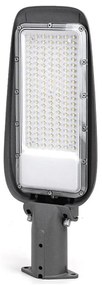 Aigostar - LED Pouliční lampa LED/100W/230V 6500K IP65