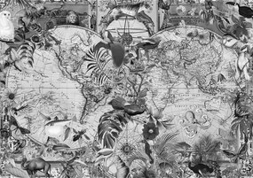 TREFL Puzzle Premium Plus Tea Time: Antická mapa světa / 1000 dílků /