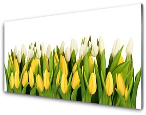 Obraz na skle Tulipány Květiny Rostlina 120x60 cm