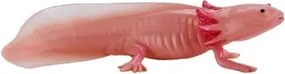 Mojo Axolotl / od 3 let