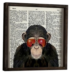 Nástěnný obraz Monkey 34x34 cm I