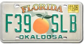 Americká SPZ Florida Orange