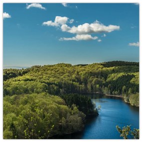 Obraz - Jezero v lesích (30x30 cm)