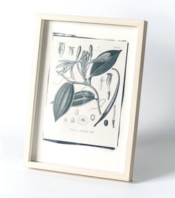 Botanická fotografie na zeď - Vanilka - 21 x 30 cm (A4) / s rámem