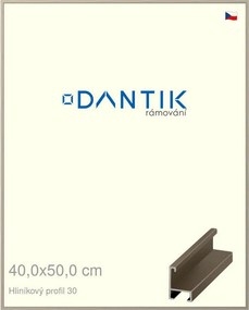 DANTIK rámeček 40x50 | ALU profil 6030 champagne (Sklo Čiré)