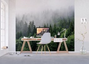 Vliesová fototapeta na zed' Les v Ranní Mlze | 300 x 270 cm | DFT4P5701