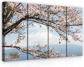 Obraz 120x80 Sakura kvetení třešní Fuji Japonsko jaro krajina příroda