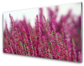 Obraz na skle Květiny Louka Příroda 125x50 cm
