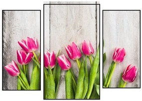 Bondecor Sada obrazů 3dílná "Tulipány" 70x50cm