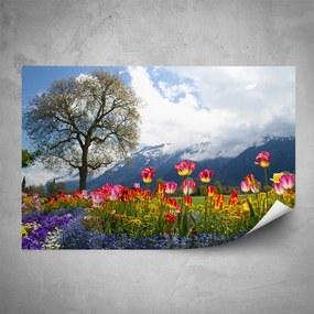 Plakát - Tulipány na louce (60x40 cm) - PopyDesign