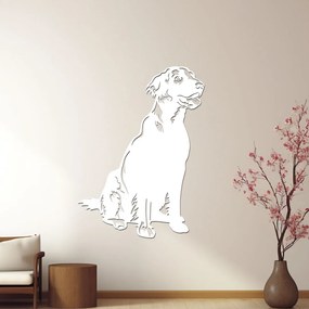 dřevo života Dřevěný obraz psa Flat coated retriever Zvolte rozměr (cm): 45x60, Zvolte barvu dekoru: Bílá