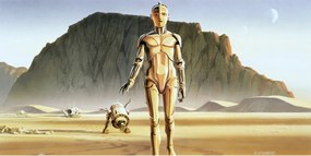 Komar Vliesová fototapeta Star Wars Classic RMQ Droids 500 x 250 cm