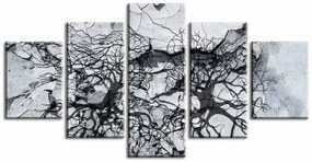 Malvis ® Stíny stromů na kameni Velikost: 150x80 cm