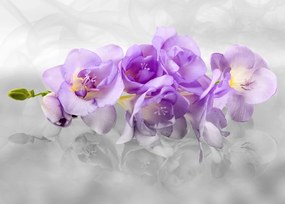 Fototapeta na míru Něžná Orchidej | Vliesová fototapeta na zed' | DFTNXXL2400