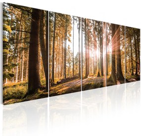 Obraz ráno v lese + háčky a hřebíčky ZDARMA Velikost (šířka x výška): 225x90 cm