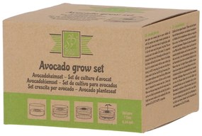 Skleněná klíčicí miska ø 14 cm Avocado – Esschert Design