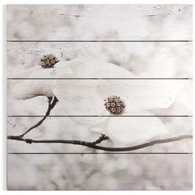 Obraz - tisk na dřevě - Serenity Blossoms 104589, Wall Art, Graham Brown