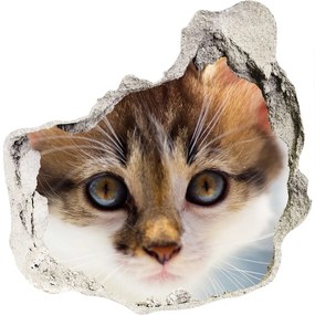 Wallmuralia Díra 3D fototapeta nástěnná Nálepka malá kočka 75x75 cm