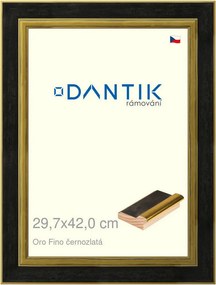 DANTIK rámeček 29,7x42 | Oro Fino černozlatá (Plexi Čiré)