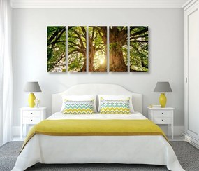 5-dílný obraz majestátní stromy - 200x100 cm