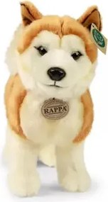 RAPPA Plyšový pes Akita Inu 30 cm / ECO-FRIENDLY  / od 0 let