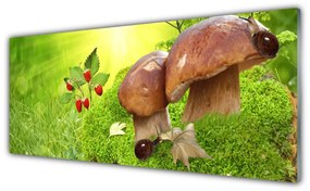 akrylový obraz Houby Divoké Jahody 125x50 cm