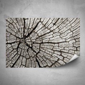 Plakát - Popraskané dřevo (60x40 cm) - PopyDesign