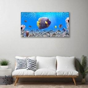 Obraz na plátně Ryba Příroda 120x60 cm