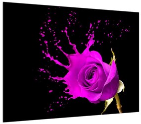 Obraz fialové růže (70x50 cm)