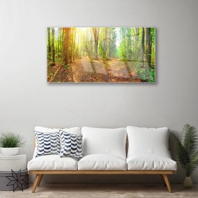 Obraz na skle Slunce Příroda Lesní Stezka 125x50 cm