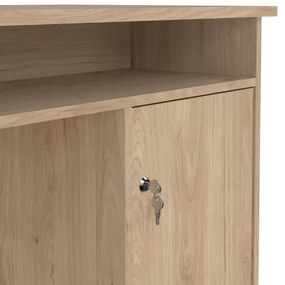 FALCO Psací stůl Function Plus 70491 jackson hickory