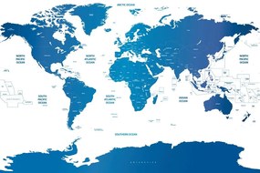 Samolepící tapeta mapa světa s jednotlivými státy - 375x250 cm