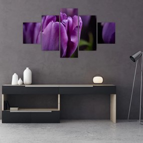 Obraz květů tulipánů (125x70 cm)