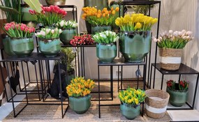 Kytice 7ks oranžových realistických tulipánů - 45cm